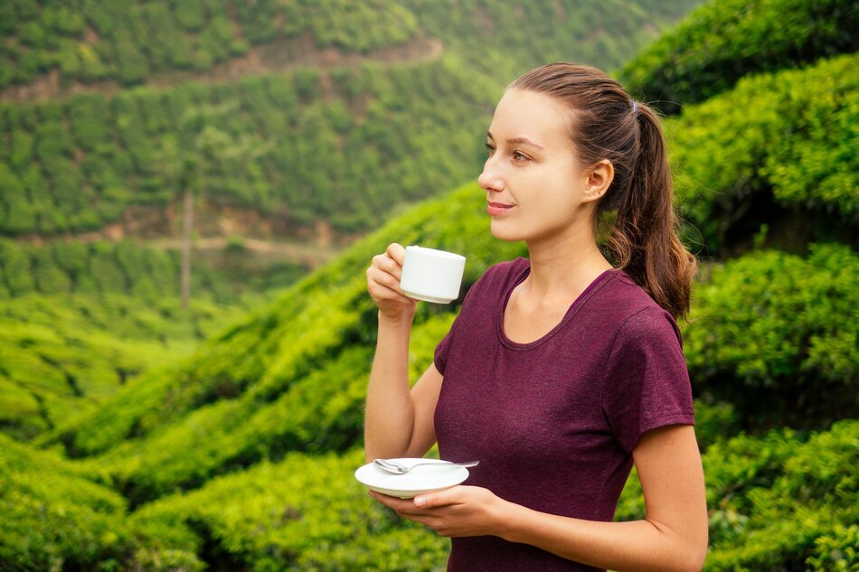 How Climate And Geography Shape Different Regions Tea – Tea Story